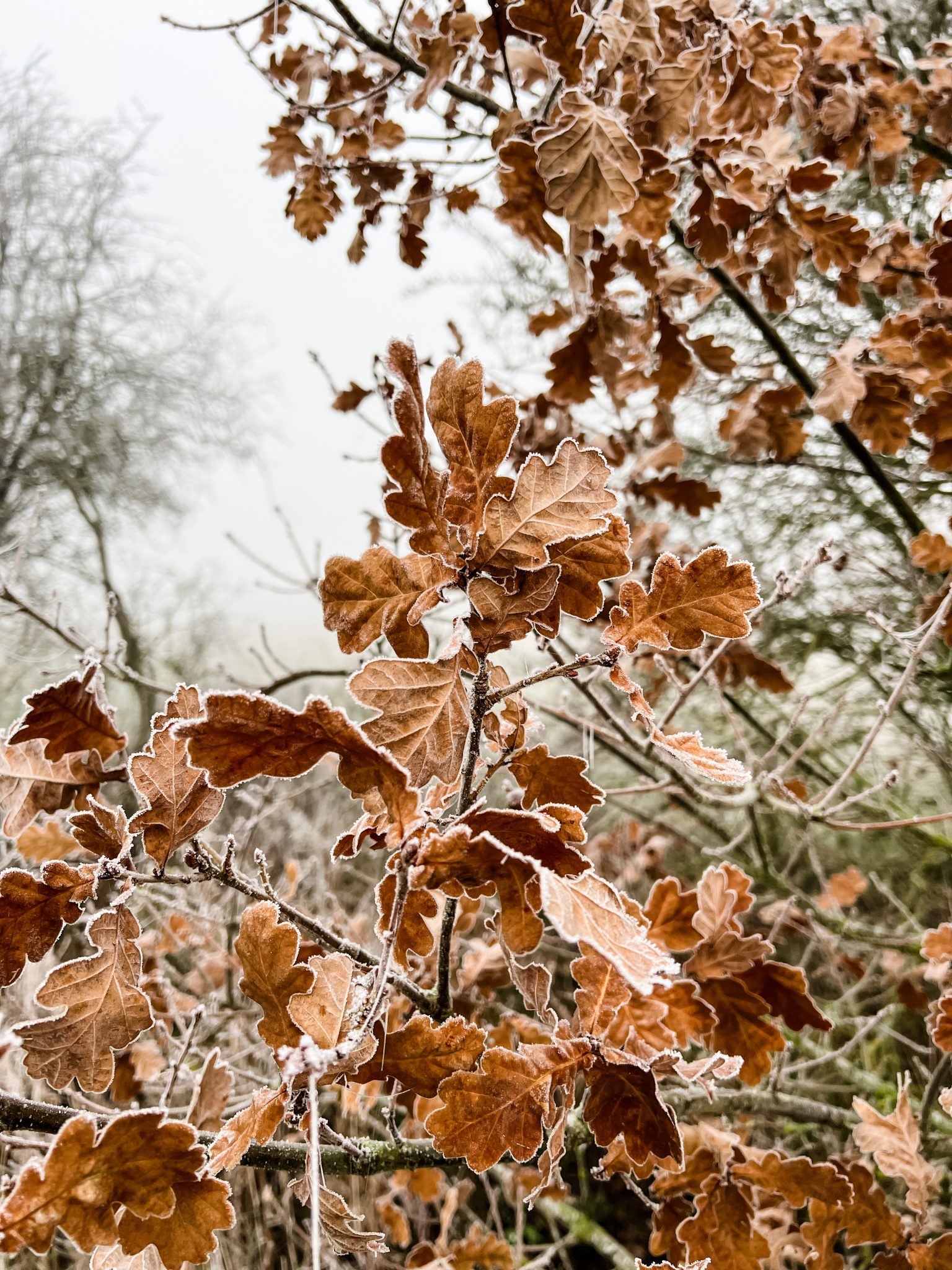 A Millen-Gordon guide to... combatting the winter blues head-on - Lydia ...